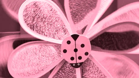 Spin Wheel Stock Video Footage | Royalty Free Spin Wheel Videos | Pond5