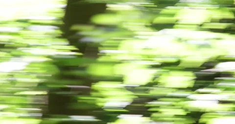 Swish Pans Stock Videos – Royalty-Free HD & 4K Videos | Pond5