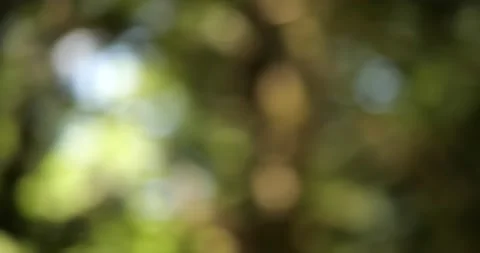 Swish Pans Stock Videos – Royalty-Free HD & 4K Videos | Pond5