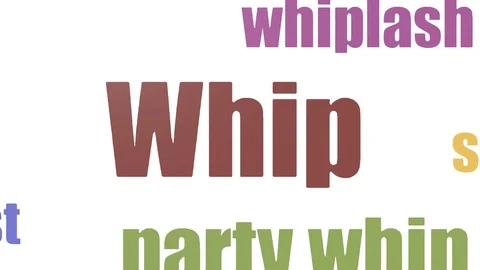 Whip Animated Stock Videos – Royalty-Free HD & 4K Videos | Pond5