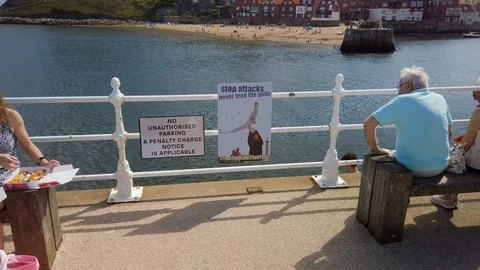 Hot Warning Sign Stock Videos – Royalty-Free HD & 4K Videos | Page 2