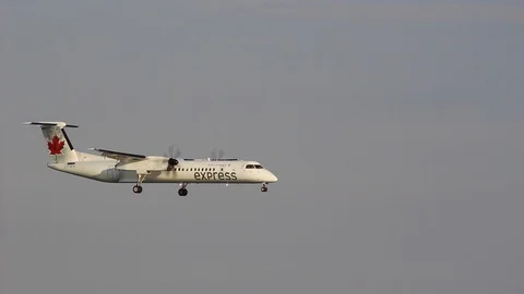 Maple 8 Logos Stock Videos – Royalty-Free HD & 4K Videos