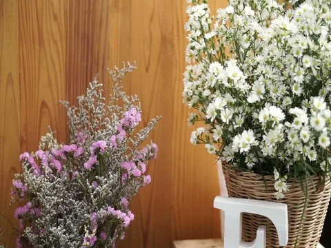 Purple Flower Backdrop Stock Videos – Royalty-Free HD & 4K Videos | Pond5