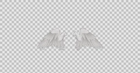 White angel wings with an alpha channel | Stock Video | Pond5