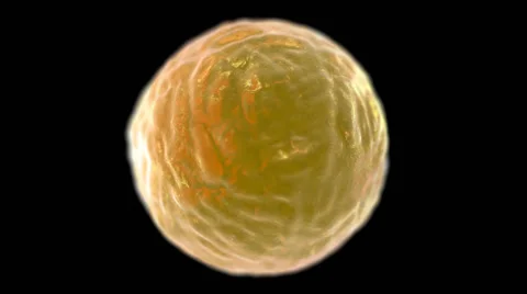 White blood cell, animated, cell, defens... | Stock Video | Pond5