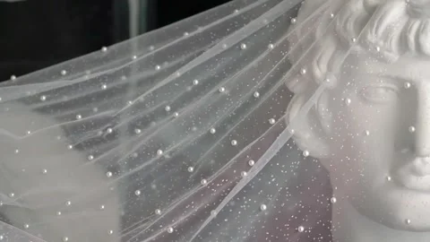 Greek Bust Stock Footage ~ Royalty Free Stock Videos | Pond5