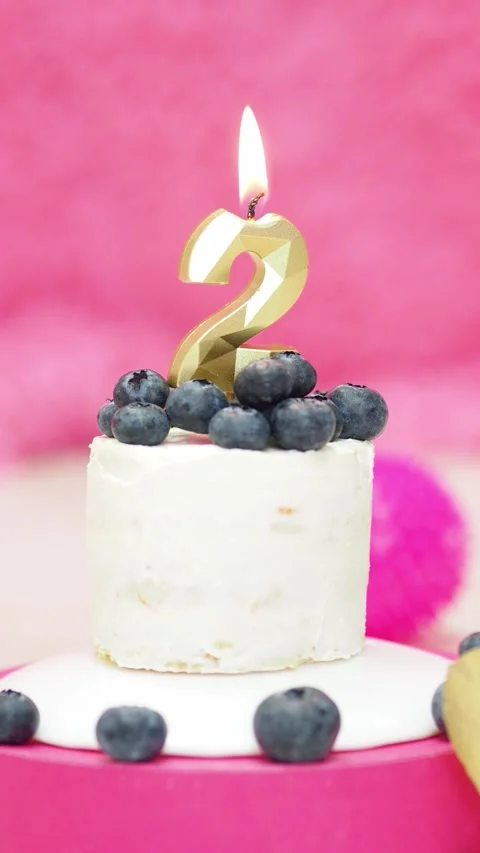 8Dog Number Stock Videos – Royalty-Free HD & 4K Videos | Page 2