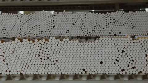 Cigarettes M Stock Videos – Royalty-Free HD & 4K Videos