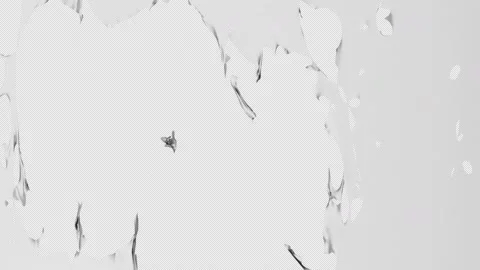 Cloth Rip Stock Video Footage | Royalty Free Cloth Rip Videos | Pond5