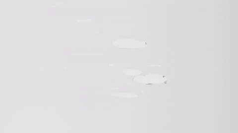 Cloth Rip Stock Video Footage | Royalty Free Cloth Rip Videos | Pond5