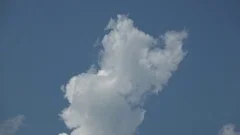 Davidek1 ~ Artist Portfolio ~ Art for Sale | Pond5