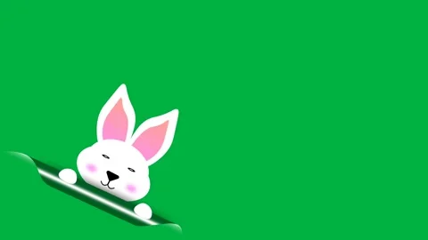 Smile Animation White Stock Videos – Royalty-Free HD & 4K Videos | Pond5