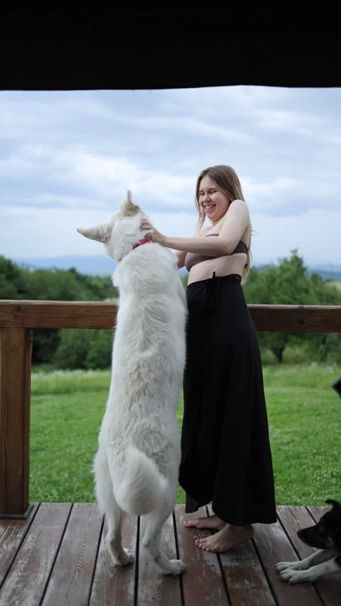 Dog Knotting Girl Stock Videos – Royalty-Free HD & 4K Videos