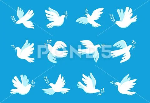 White dove with olive branch symbol. Bird and twig symbol of peace and ...