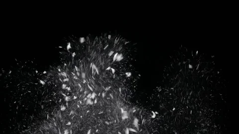 Feathers Stock Footage ~ Royalty Free Stock Videos | Pond5