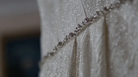 White Precious Stock Videos – Royalty-Free HD & 4K Videos | Pond5