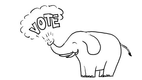 White Elephant Vote Drawing 2D Animation | Stock Video | Pond5