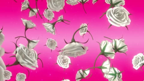 White Falling Roses on Pink Background | Stock Video | Pond5
