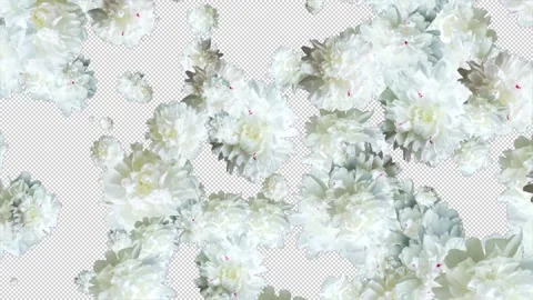 Fire Vfx Cut Stock Video Footage | Royalty Free Fire Vfx Cut Videos | Pond5