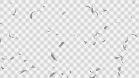 White fluffy feather falling loop with a... | Stock Video | Pond5