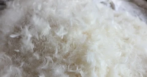 White goose feathers and down with pillo... | Stock Video | Pond5