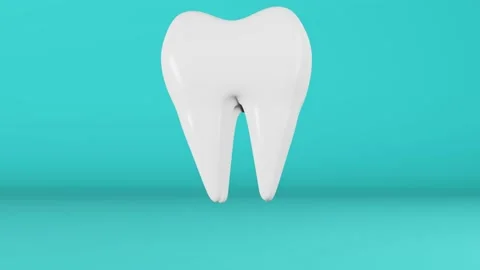 White healthy molar tooth bouncing 3D an... | Stock Video | Pond5