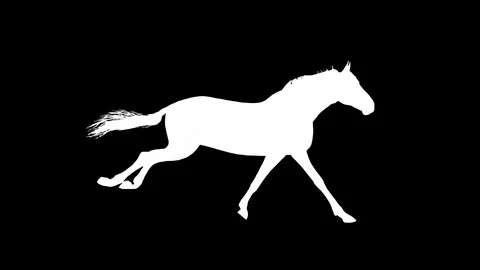 white horse running silhouette seamless ... | Stock Video | Pond5