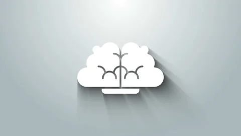 White Human Shadow Stock Videos – Royalty-Free HD & 4K Videos | Page 5