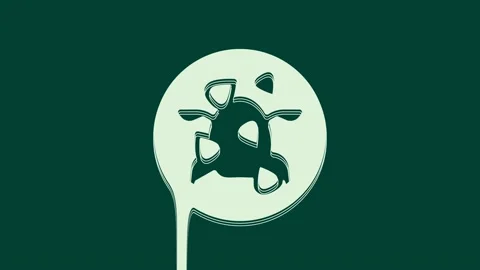 Kung _ Chicken Stock Videos – Royalty-Free HD & 4K Videos