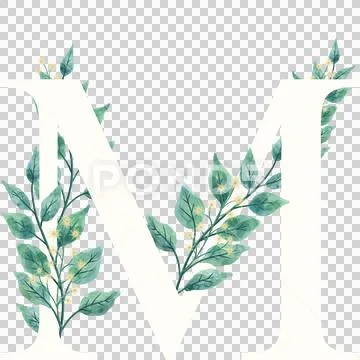 White Letter M PNG with floral arrangement with transparent background ...