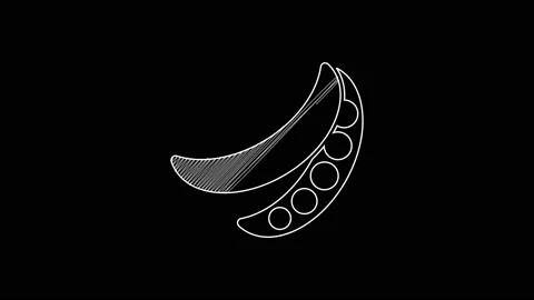 Bob S Video Stock Videos – Royalty-Free HD & 4K Videos | Page 6