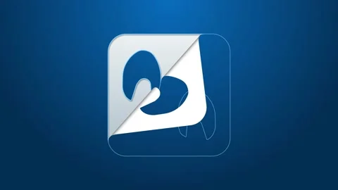 Domestic Horse Isolated Stock Videos – Royalty-Free HD & 4K Videos