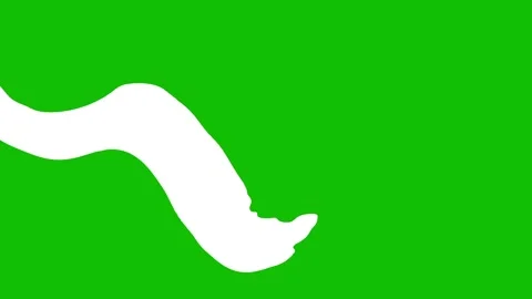 White lines animation on green screen 4k... | Stock Video | Pond5