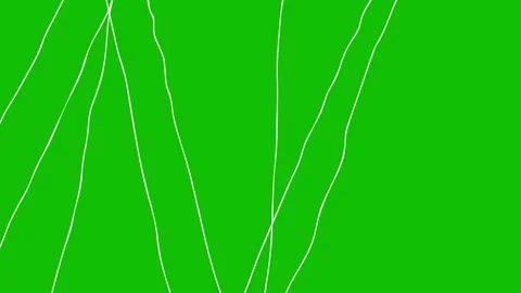 White lines animation on green screen 4k... | Stock Video | Pond5