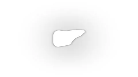 White liver icon with shadow isolated on... | Stock Video | Pond5