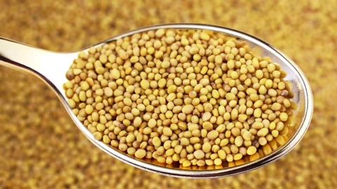 Mustard Yellow Background Stock Videos – Royalty-Free HD & 4K Videos ...