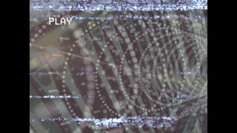 No Noise Play Stock Videos – Royalty-Free HD & 4K Videos | Pond5