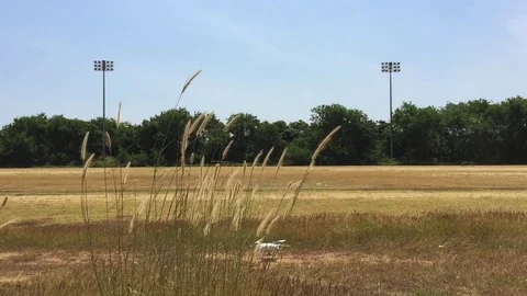 Takeoff Football Stock Videos – Royalty-Free HD & 4K Videos