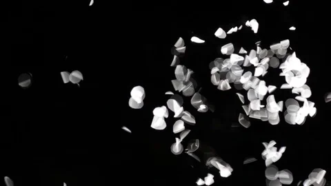 Masking In Editing Stock Videos – Royalty-Free HD & 4K Videos