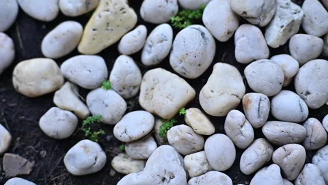 White rounded rocks pebble top down view | Stock Video | Pond5