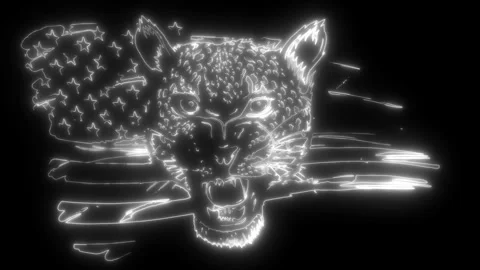 Leopard Black White Stock Videos – Royalty-Free HD & 4K Videos | Pond5