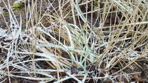 White Sno Stock Videos – Royalty-Free HD & 4K Videos