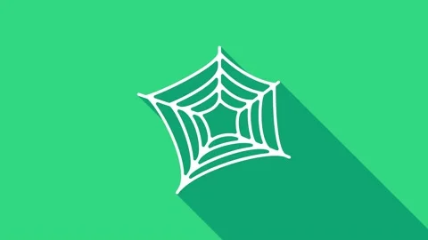 Spider Web White Stock Videos – Royalty-Free HD & 4K Videos | Pond5