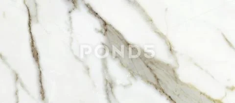 White statuario marble texture background Calacatta Gold Borghini Italy ...