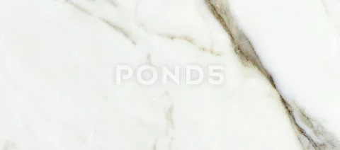 White statuario marble texture background Calacatta Gold Borghini Italy ...