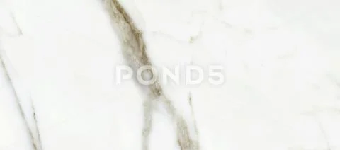 White statuario marble texture background Calacatta Gold Borghini Italy ...