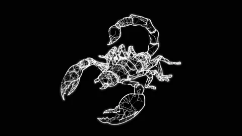 White stoke Scorpio constellation star o... | Stock Video | Pond5