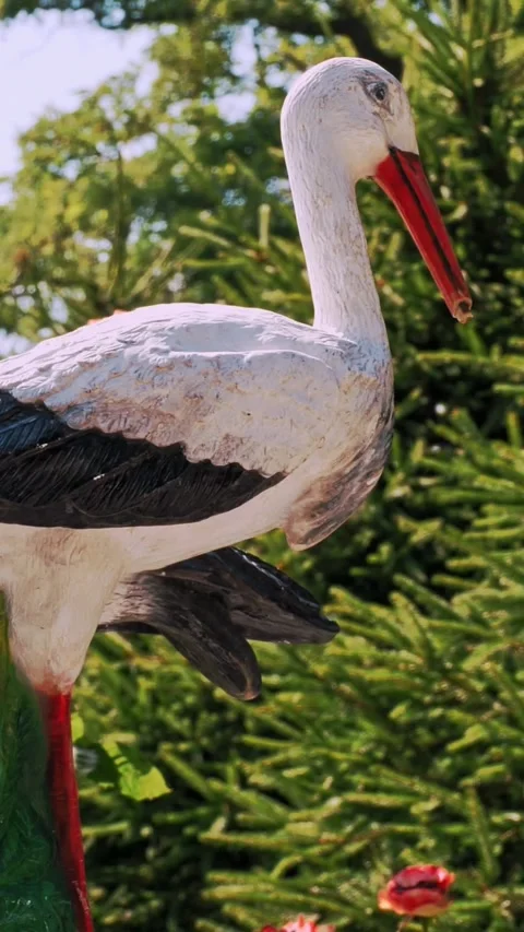 Bird Scupture Stock Videos – Royalty-Free HD & 4K Videos