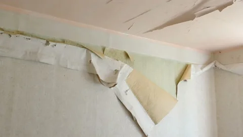 Wallpapers Of S Stock Videos – Royalty-Free HD & 4K Videos