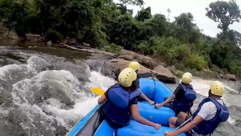 Coorg Stock Videos – Royalty-Free HD & 4K Videos